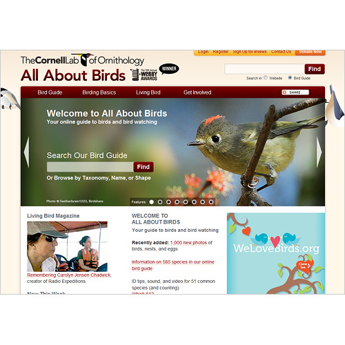 登竜門 / Webby Awards 2010 [ Websites section ]